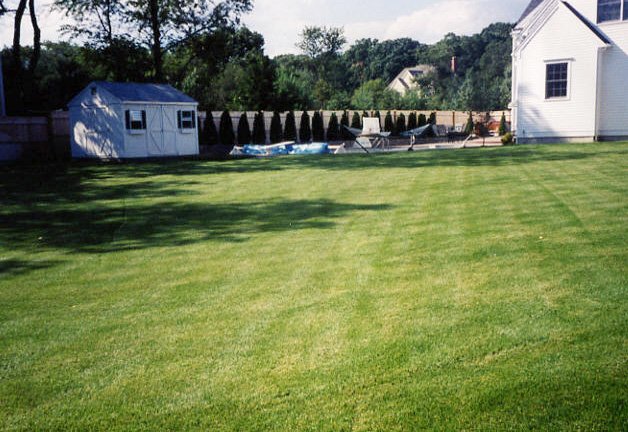 Ed's Landscaping & Tree Service, Inc. Photo Gallery Natick