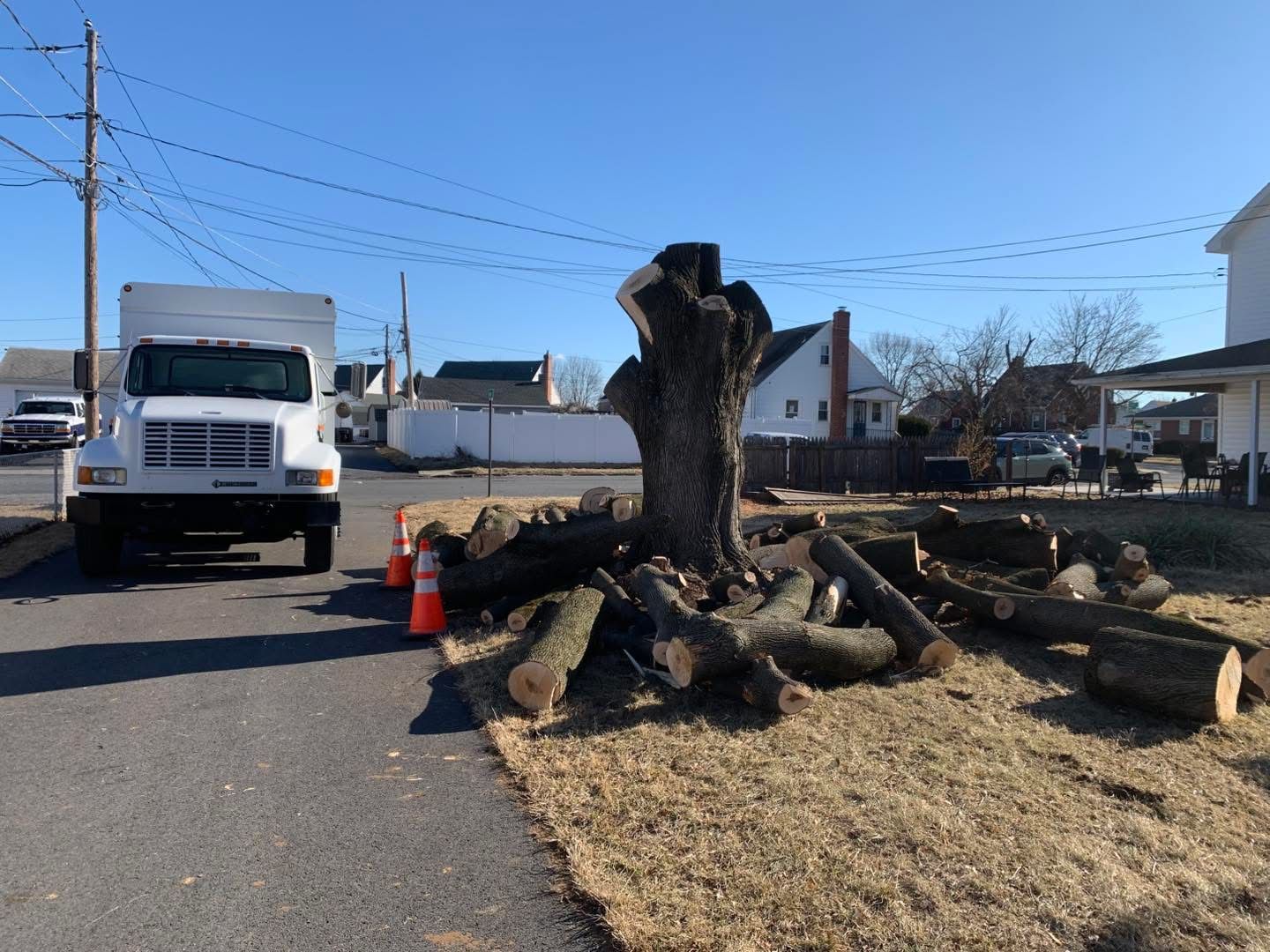 Affordable Tree Removal | Lehigh Valley Area, PA