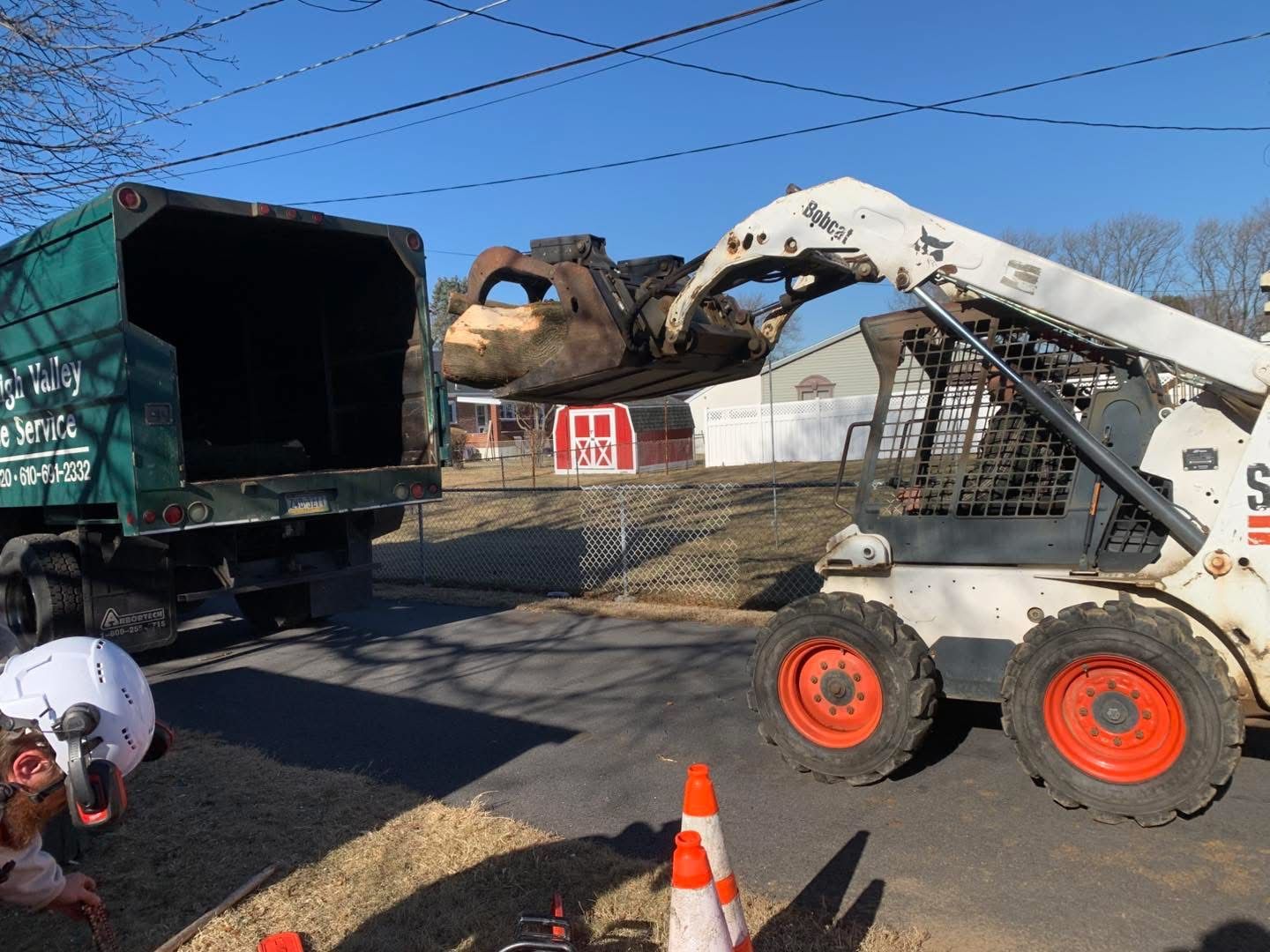 Affordable Tree Removal | Lehigh Valley Area, PA