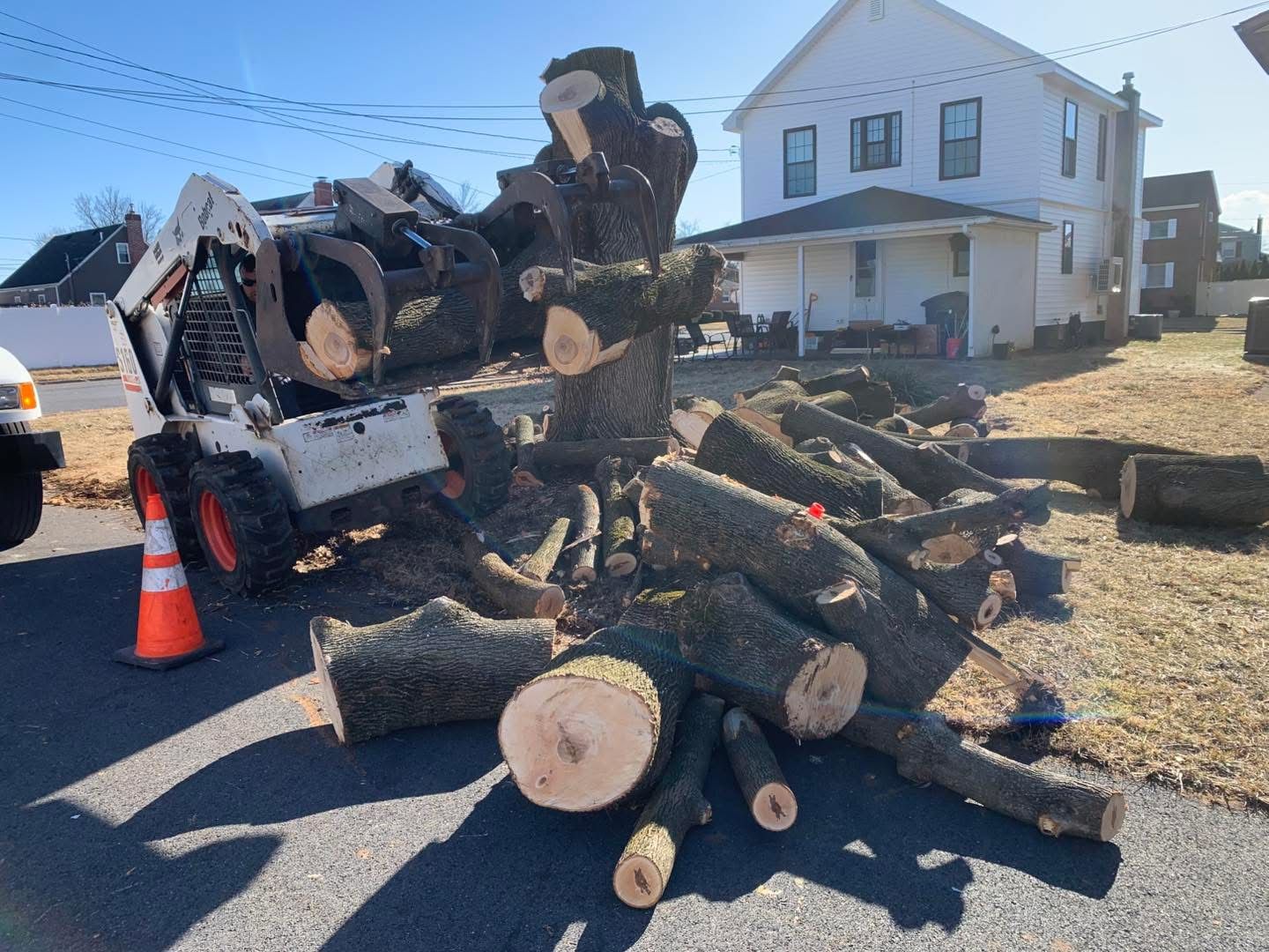 Affordable Tree Removal | Lehigh Valley Area, PA