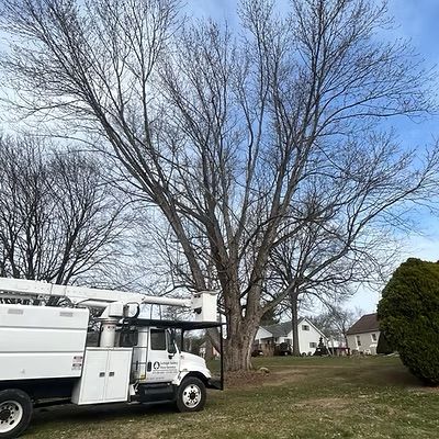 Lehigh Valley Tree Service Gallery | Allentown, PA