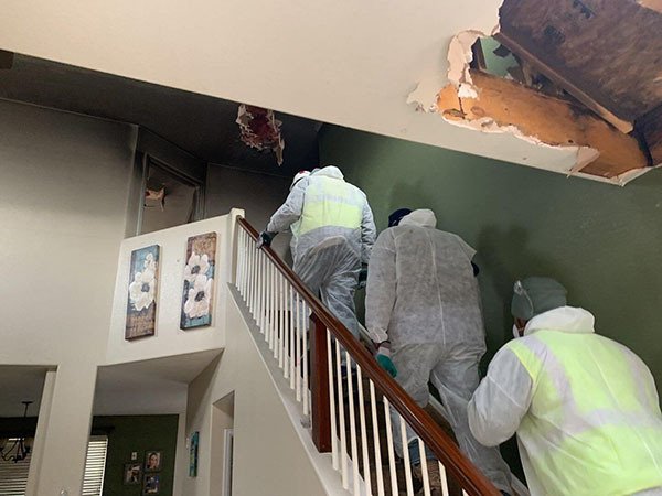 Mold Mitigation Gallery | Dynamic Renovation Contractors