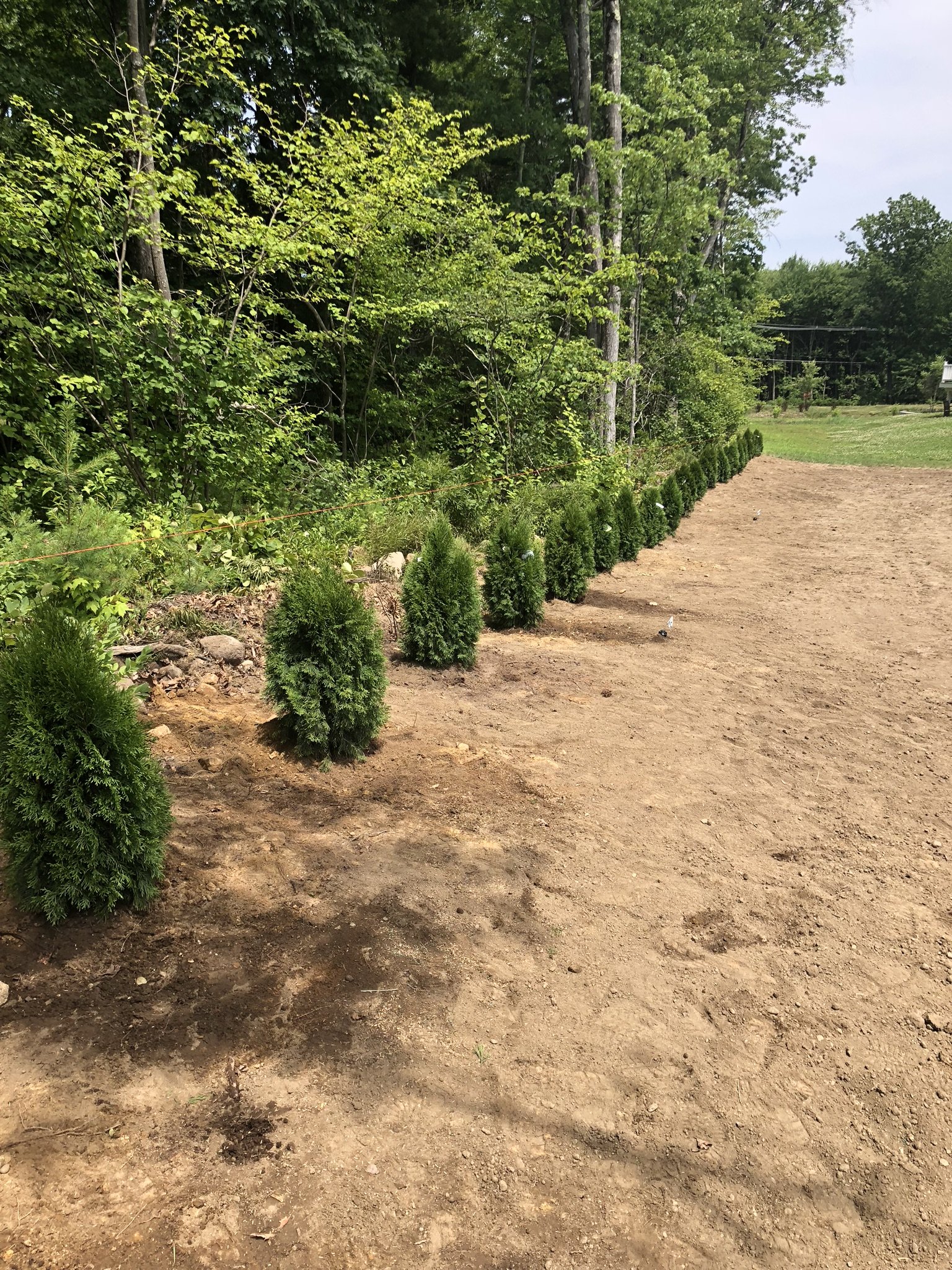 Miller's Landscaping | Paver Installations | Worcester, MA