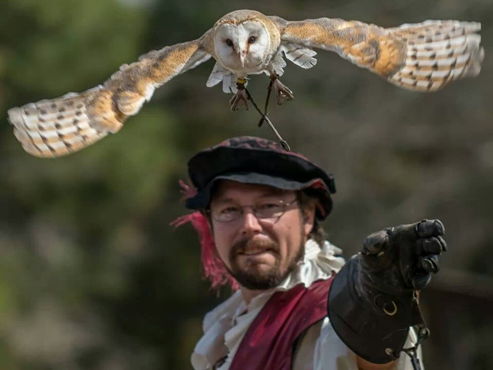 Action Shows | Austin, TX | Medieval Renaissance