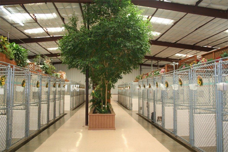Pet Resort Gallery | Cincinnati, OH