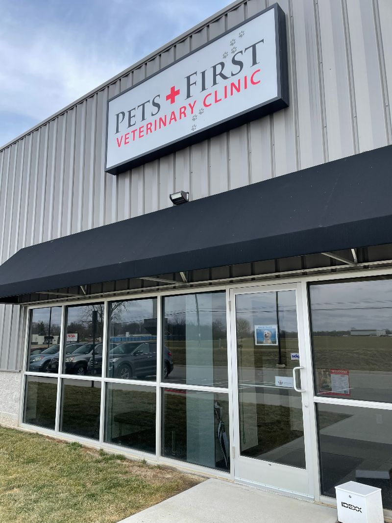 Veterinarian Near Me | Pets First Veterinary Clinic