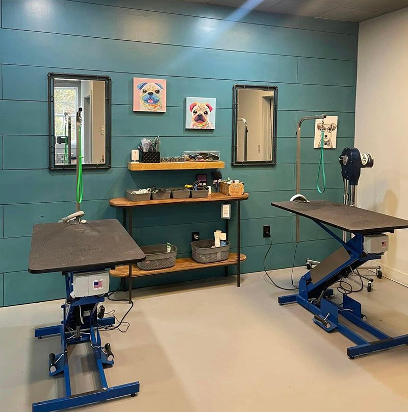 Dog Grooming | Briarcliff Manor, NY