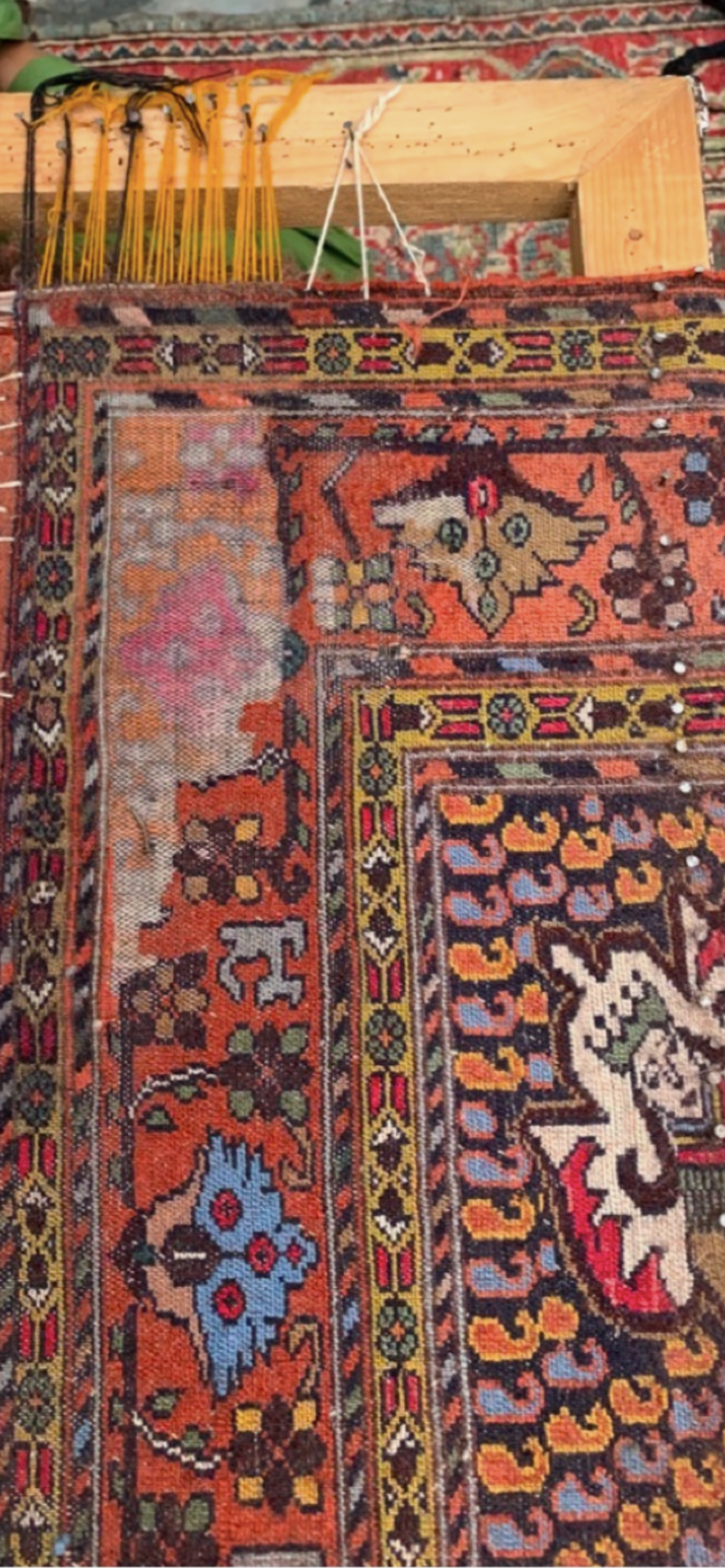 Gallery of Martinous Rugs | San Jose, CA