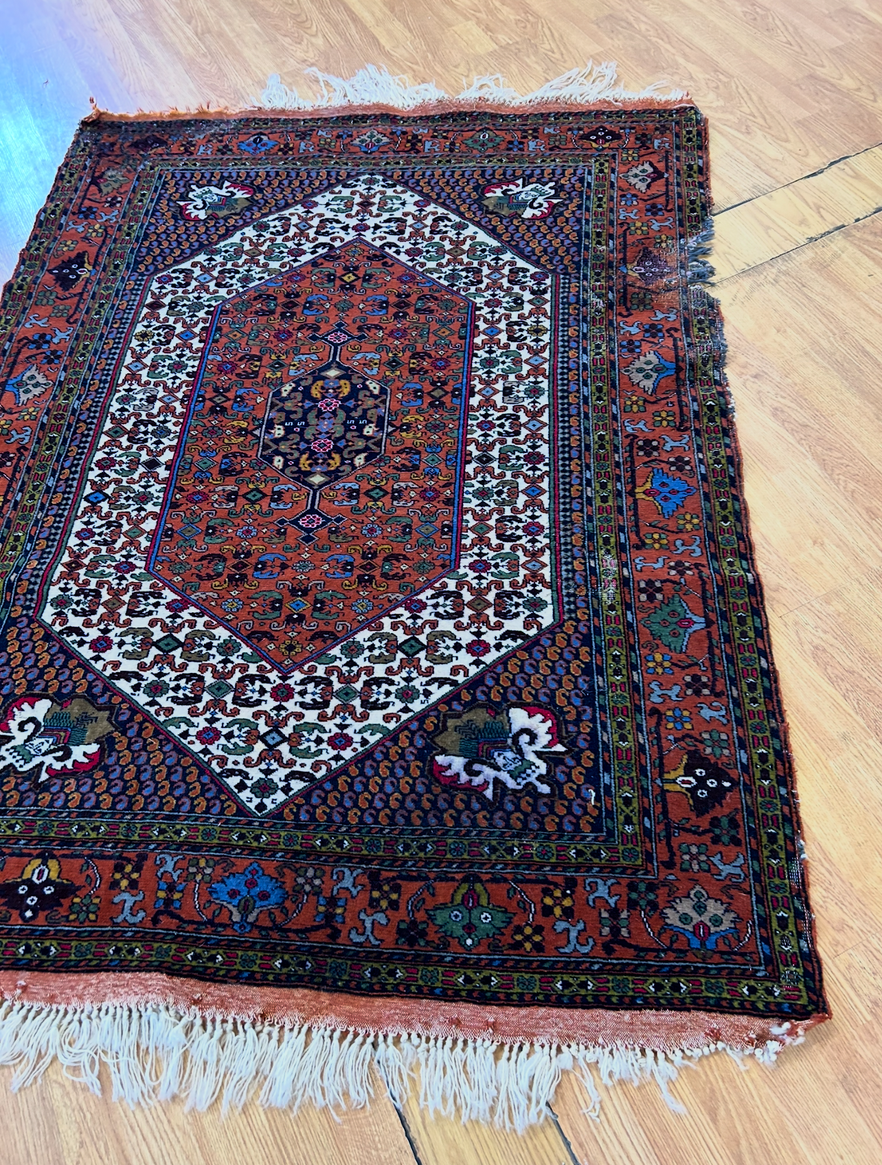 Gallery of Martinous Rugs | San Jose, CA