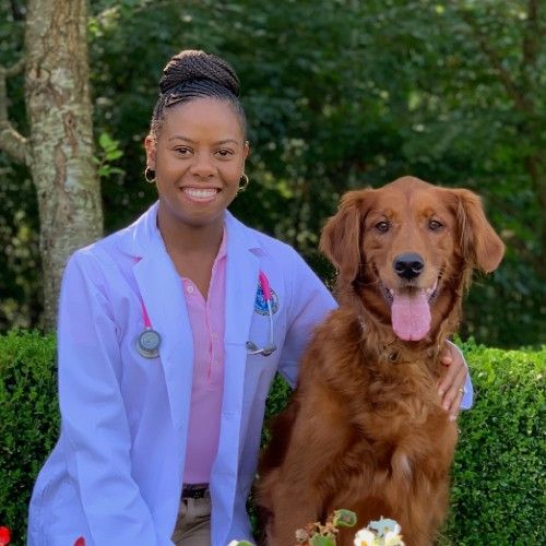 >Meet our Team At Hayfield Animal Hospital - Veterinary Doctor ...