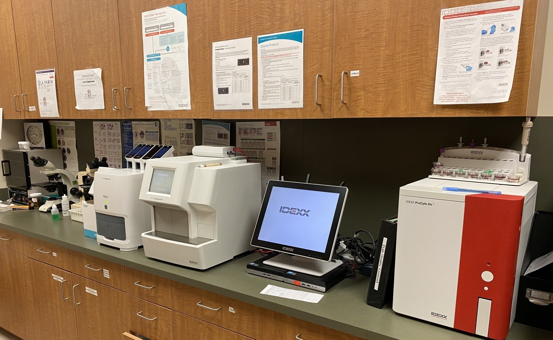 Pet Diagnostics Alexandria VA | Animal Medical Treatment Alexandria, VA