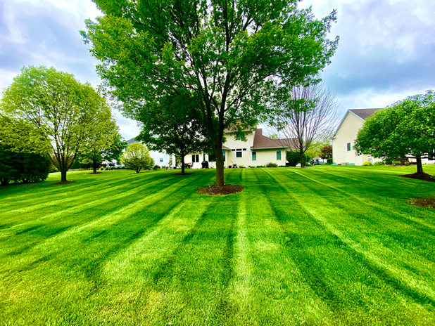 Project Gallery | Schultz Lawn Care