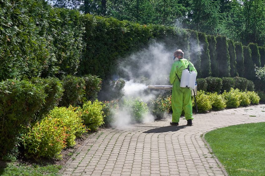 Pest Control Services | Bug Guy Pest Control | Green Bay, WI