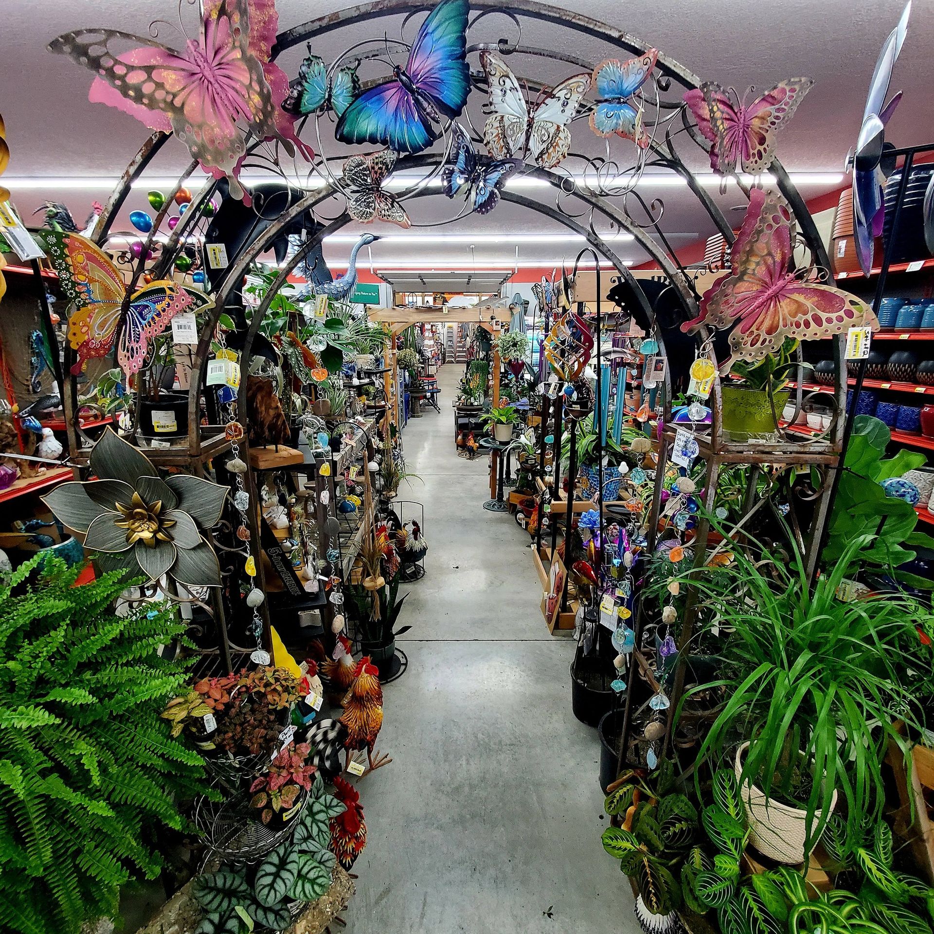 Gallery | Lexington Hardware & Feed