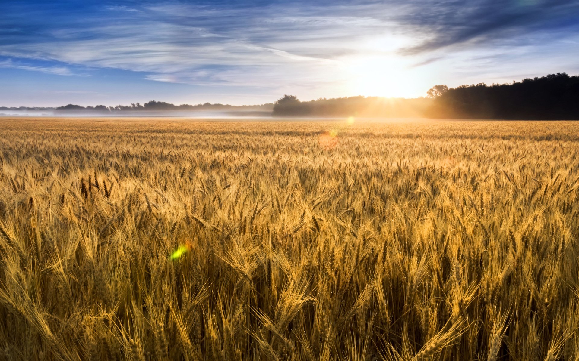 Polansky Seed | Farming Seed | Belleville, KS