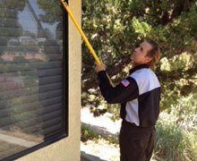 Paragon Pest Management Facts About Pests | Winchester, CA