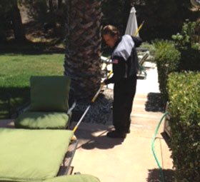 Paragon Pest Management Pricing | Winchester, CA