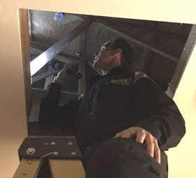 Paragon Pest Management Pricing | Winchester, CA