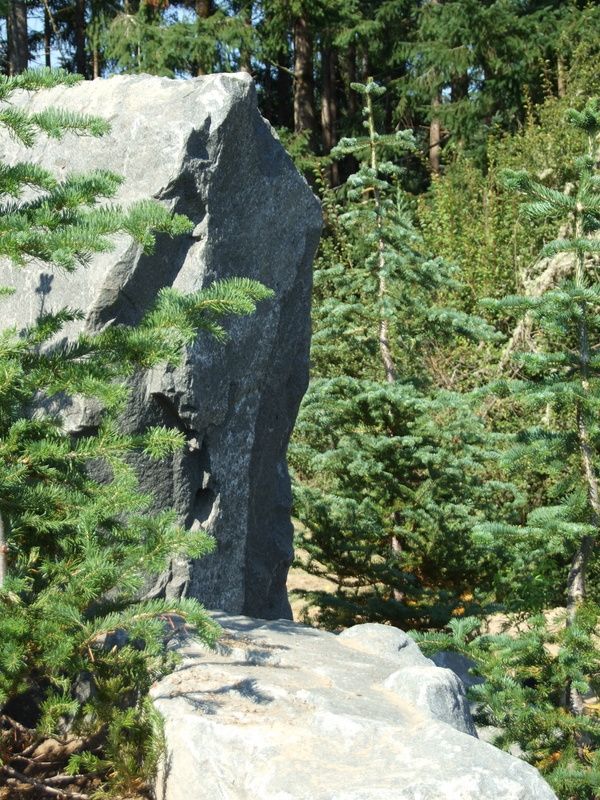 Portfolio | Nature Perfect Landscape and Design