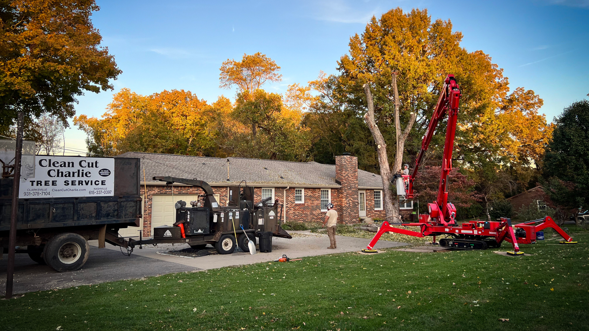 Tree Company Clarksville, TN | Clean Cut Charlie