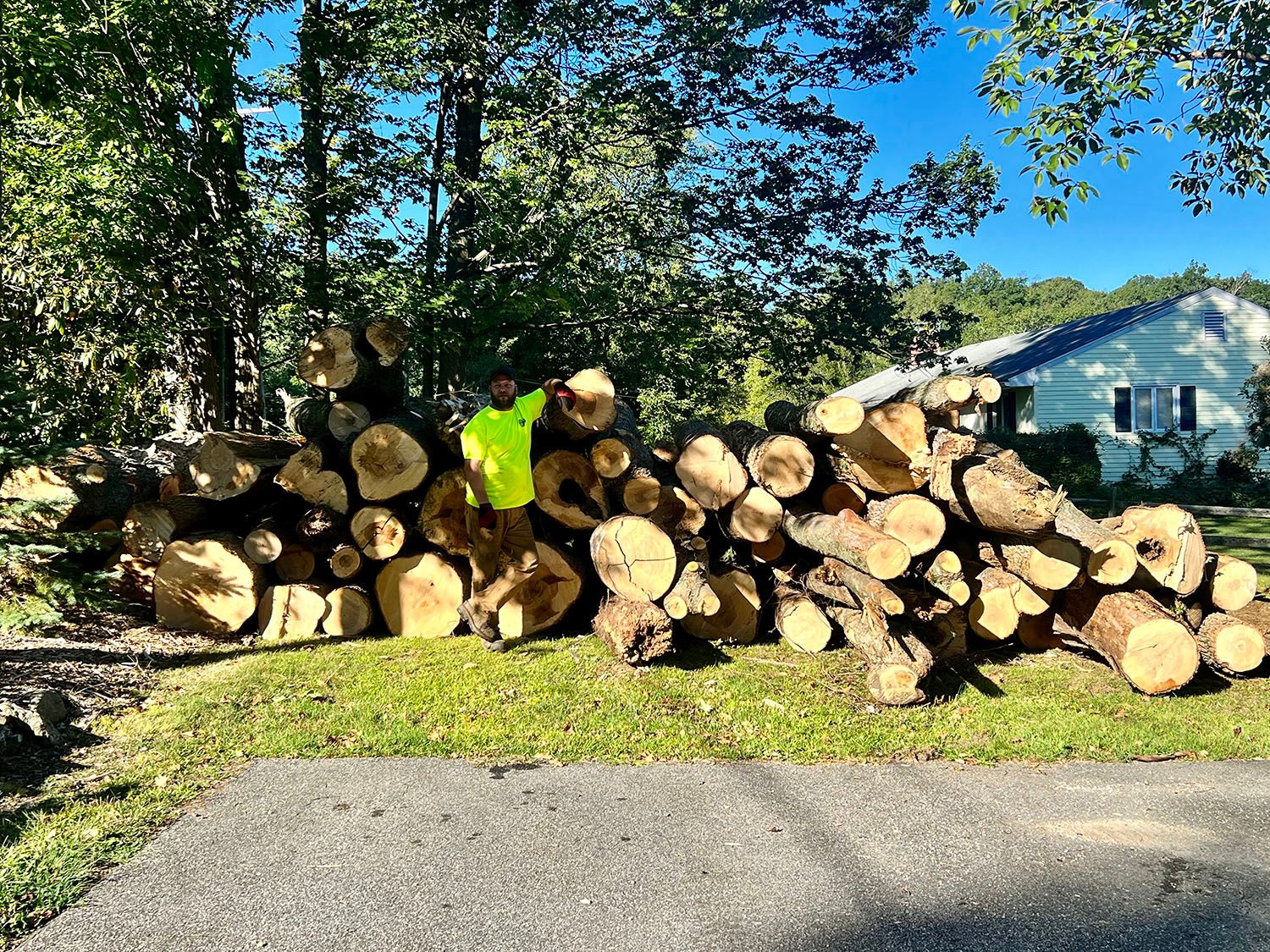 Tree Removal Torrington CT | Simsbury CT | CB Tree Services