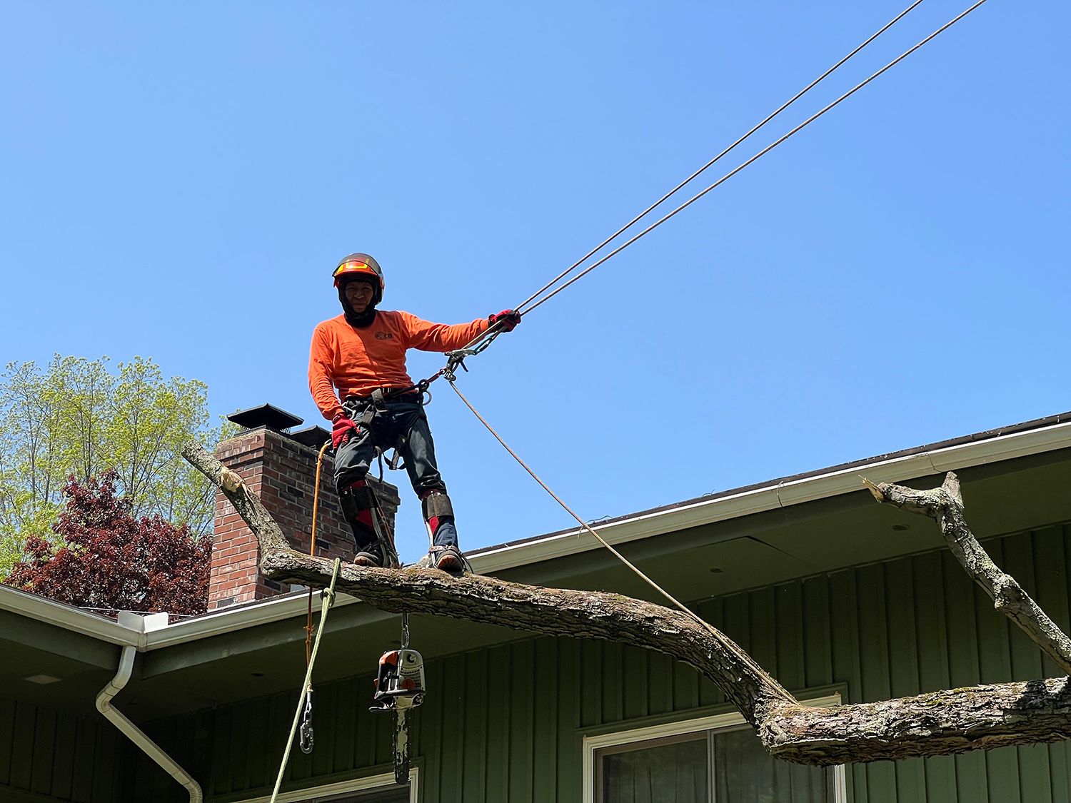 Tree Removal Torrington CT | Simsbury CT | CB Tree Services