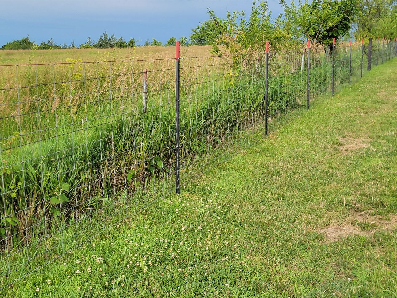 Ag Fence Contractor Des Moines, IA | Ankeny, IA