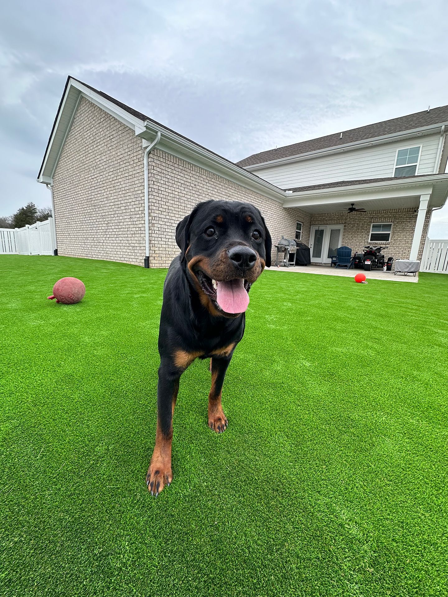 Photo Gallery | Beacon Turf & Design