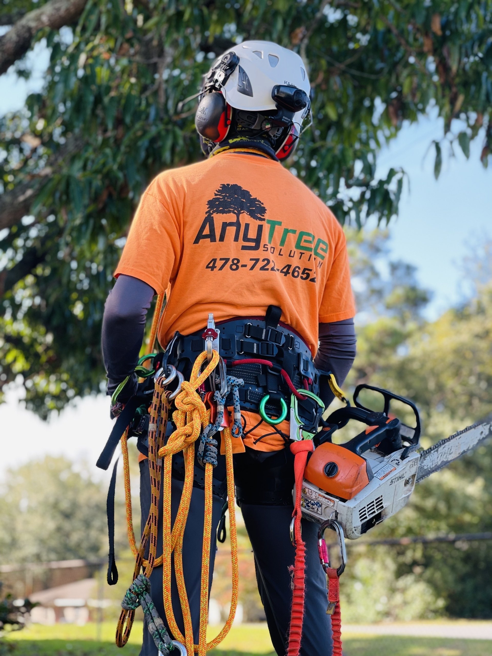 AnyTree Solution | Tree Service | Warner Robins, GA