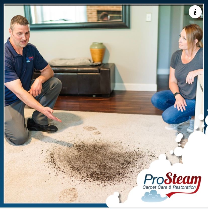 Before/After Gallery | Pro Steam Carpet Care & Restoration | St. Peters ...
