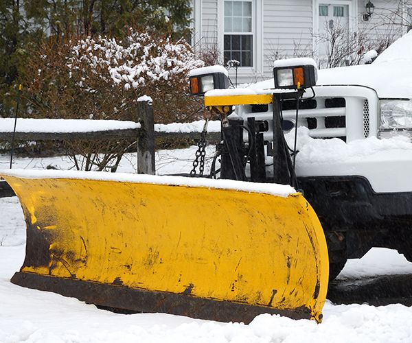 Tree Trimming and Removal | Tree Busters | Cape Cod, MA Area