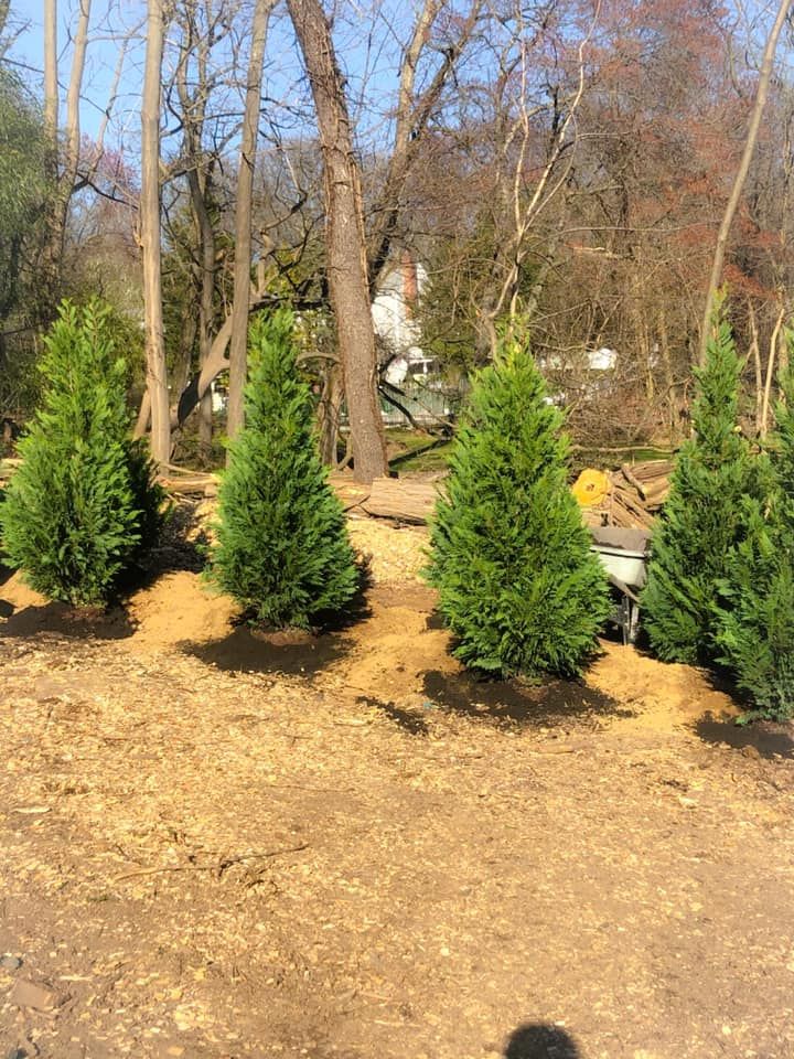 Landscapers | Green Rite Tree Service | Freehold, NJ Area