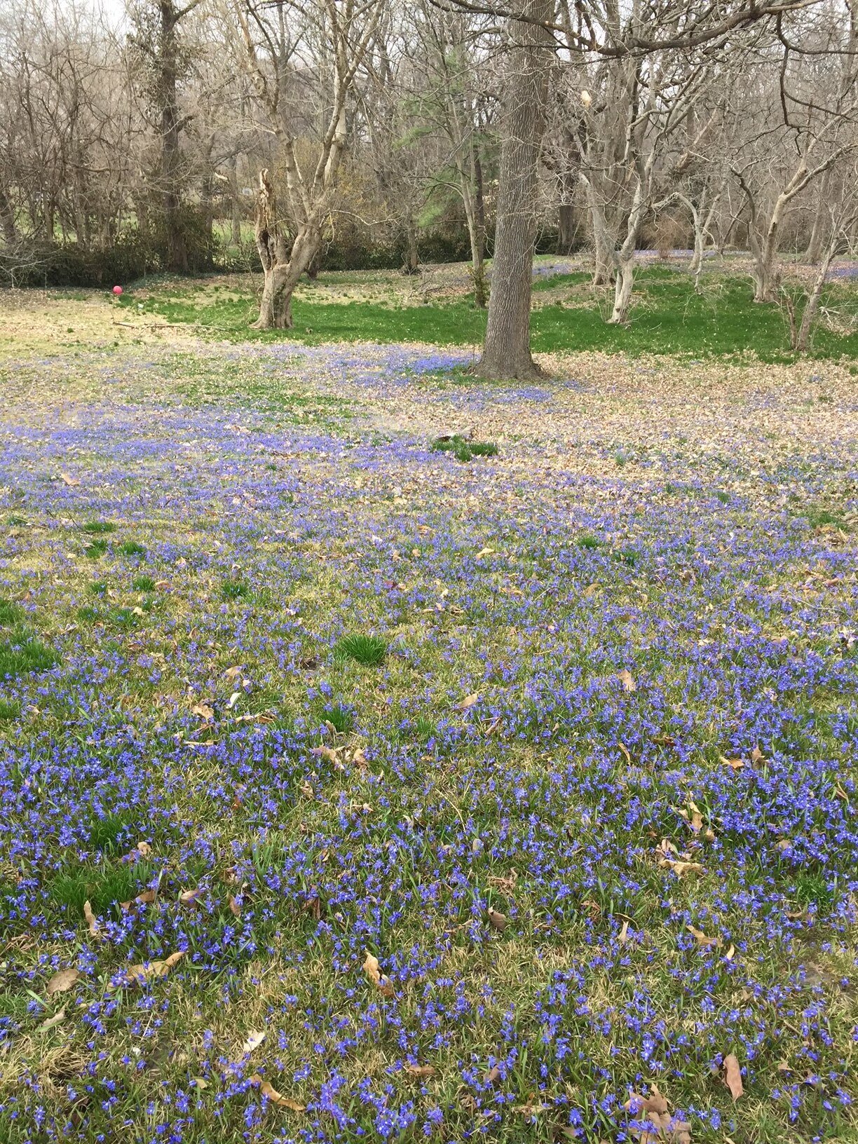 Landscapes By Dallas Foster Inc. Photo Gallery | Vincennes