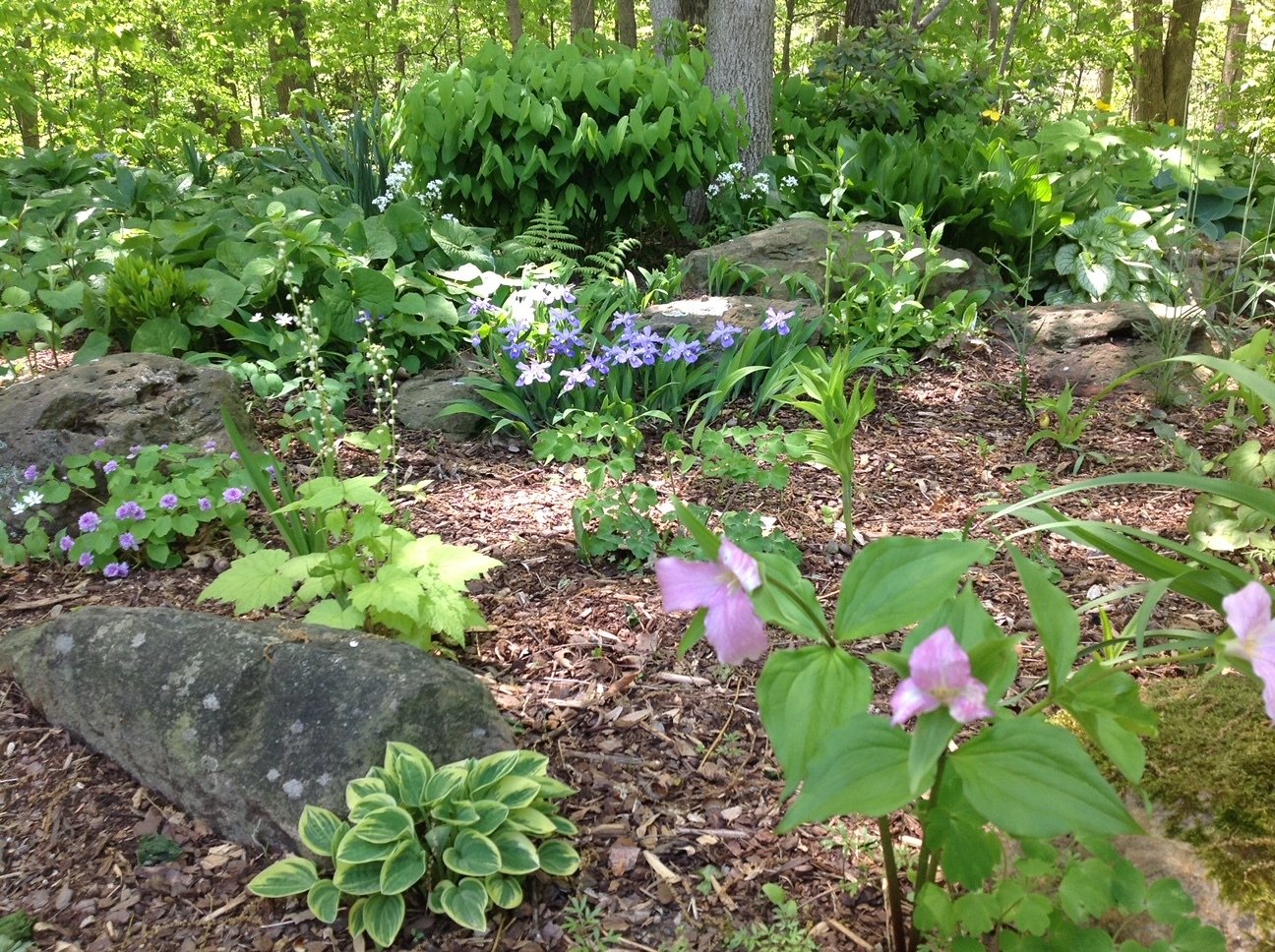 Landscapes By Dallas Foster Inc. Photo Gallery | Vincennes