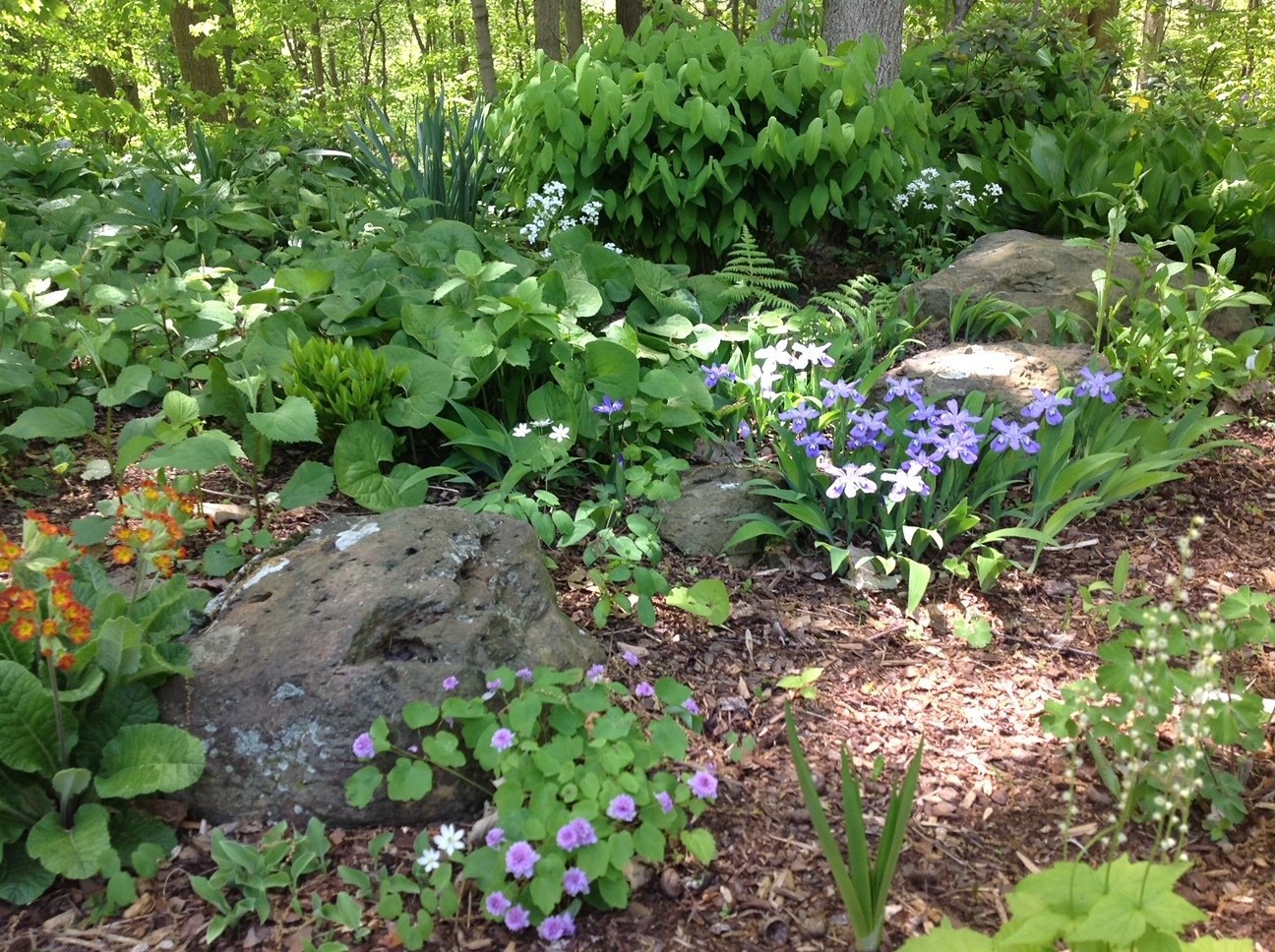 Landscapes By Dallas Foster Inc. Photo Gallery | Vincennes