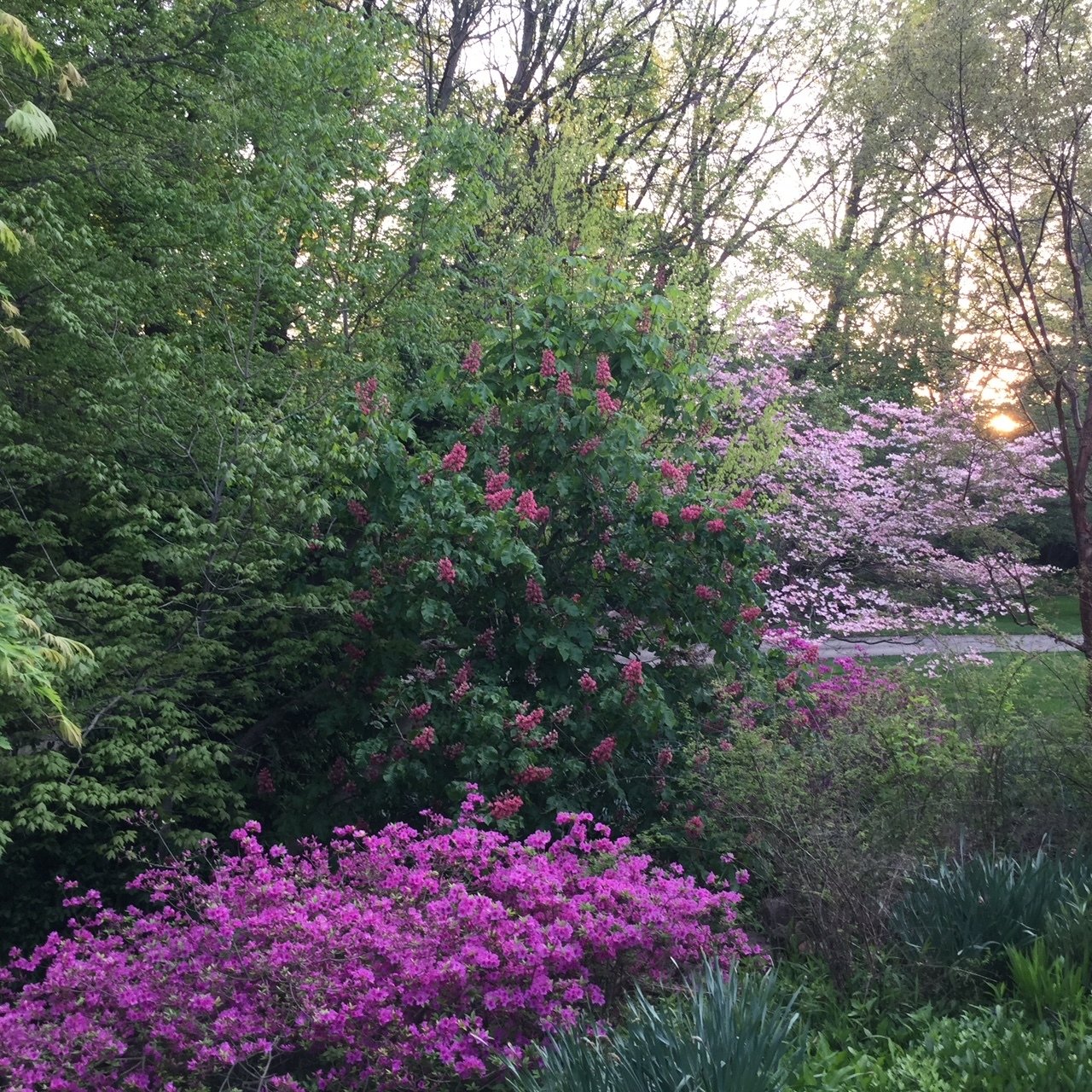 Landscapes By Dallas Foster Inc. Photo Gallery | Vincennes