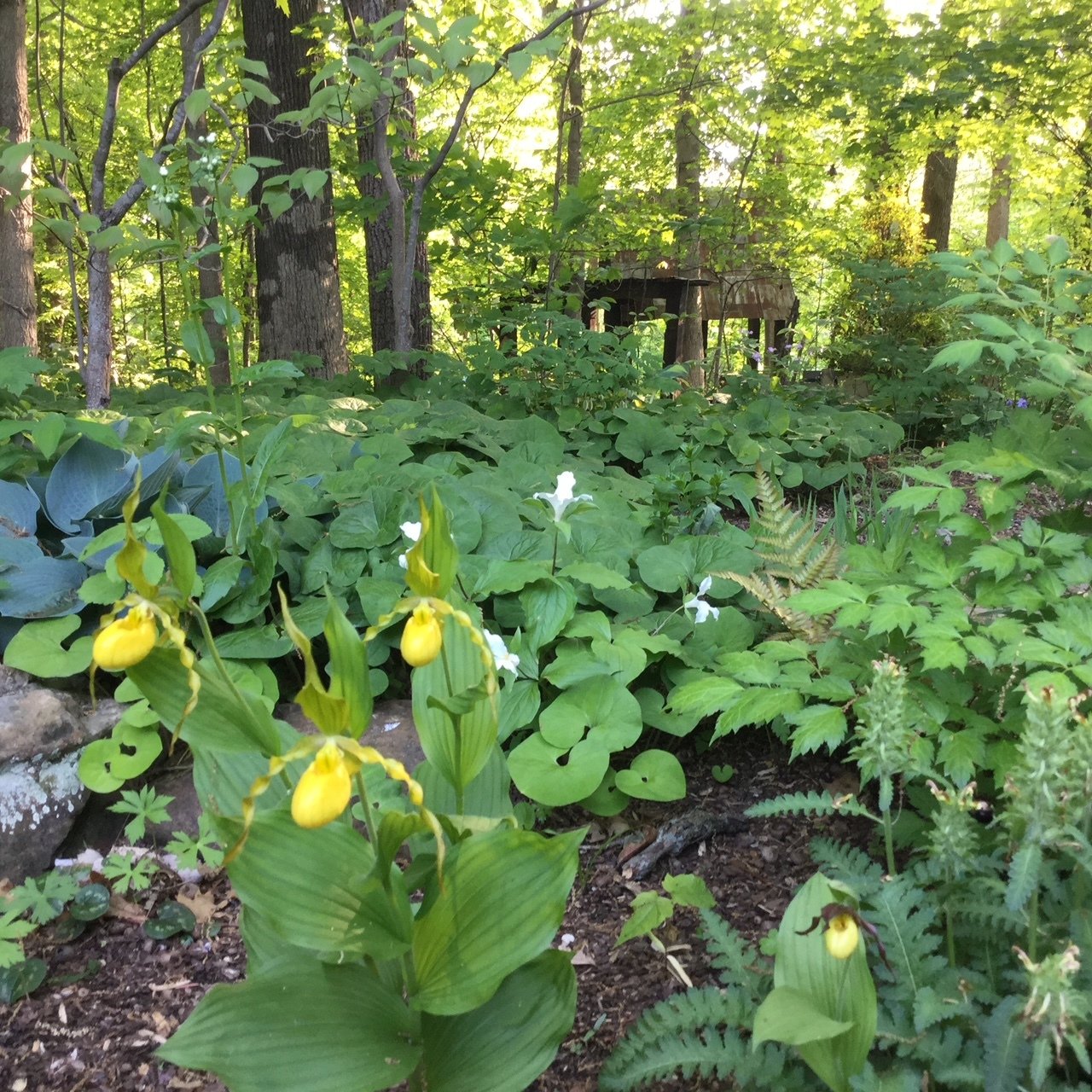 Landscapes By Dallas Foster Inc. Photo Gallery | Vincennes