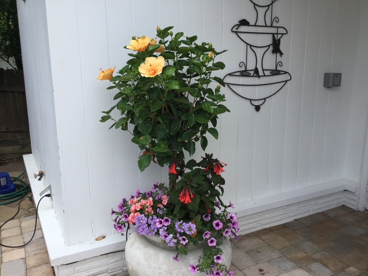 Landscapes By Dallas Foster Inc. Photo Gallery | Vincennes