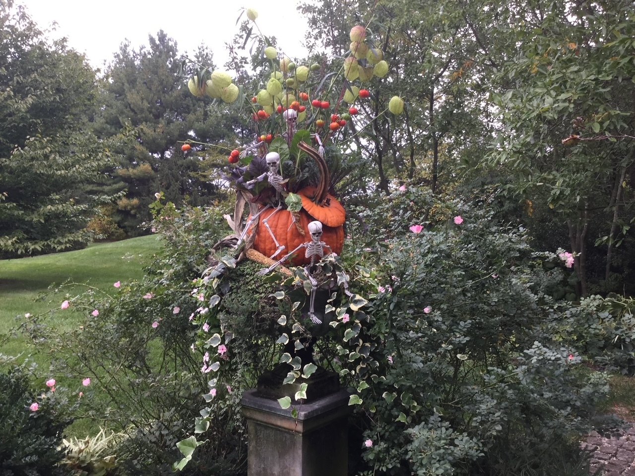 Landscapes By Dallas Foster Inc. Photo Gallery | Vincennes