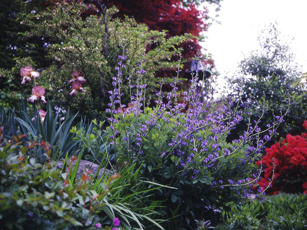Landscapes By Dallas Foster Inc. Photo Gallery | Vincennes