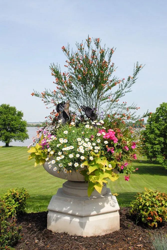 Landscapes By Dallas Foster Inc. Photo Gallery | Vincennes