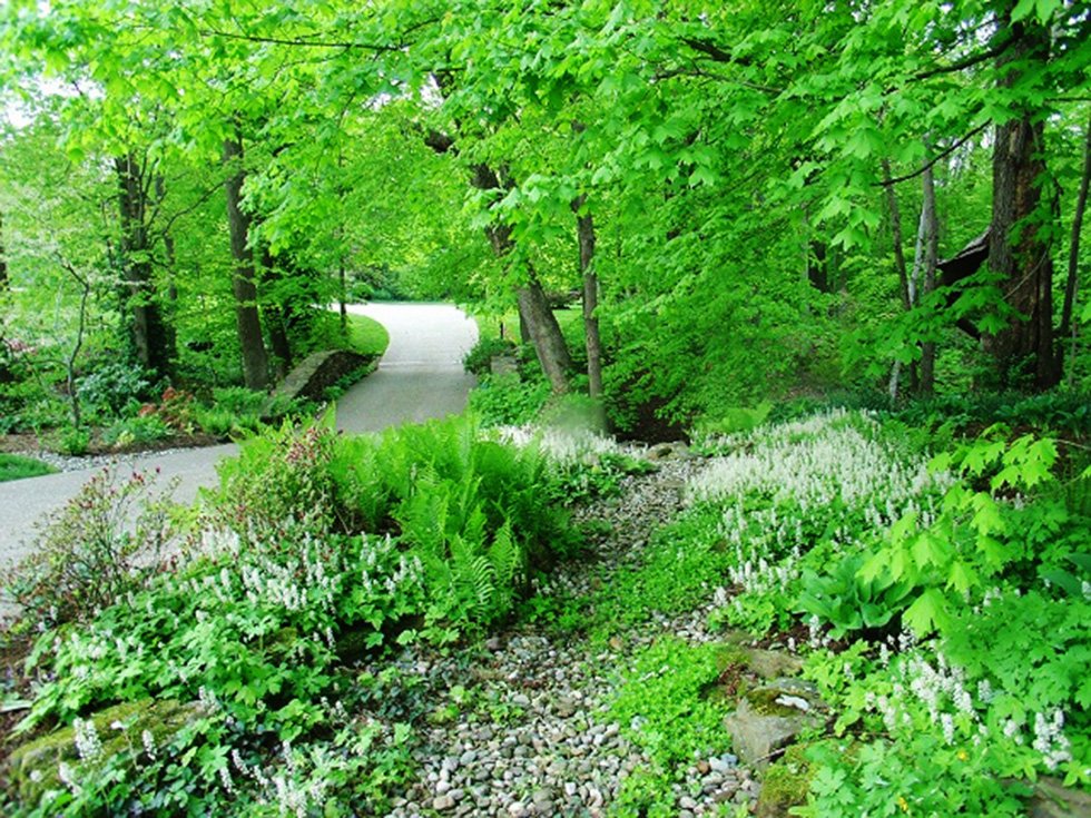 Landscapes By Dallas Foster Inc. Photo Gallery | Vincennes