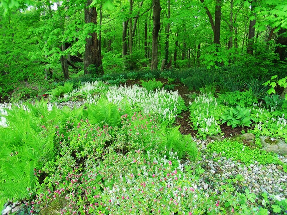 Landscapes By Dallas Foster Inc. Photo Gallery | Vincennes