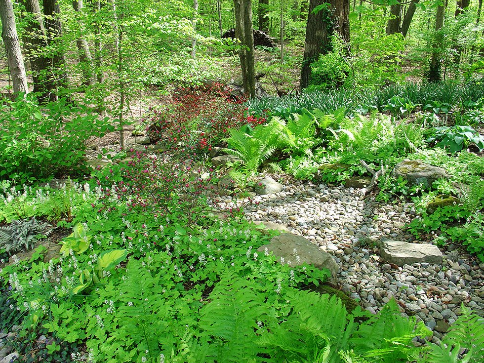 Landscapes By Dallas Foster Inc. Photo Gallery | Vincennes