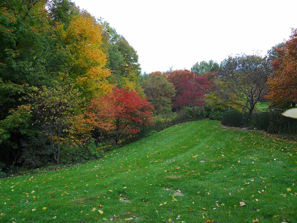Landscapes By Dallas Foster Inc. Photo Gallery | Vincennes