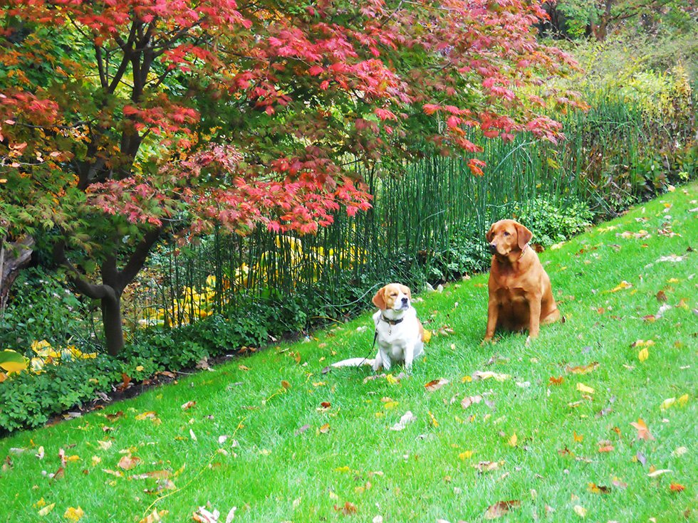 Landscapes By Dallas Foster Inc. Photo Gallery | Vincennes