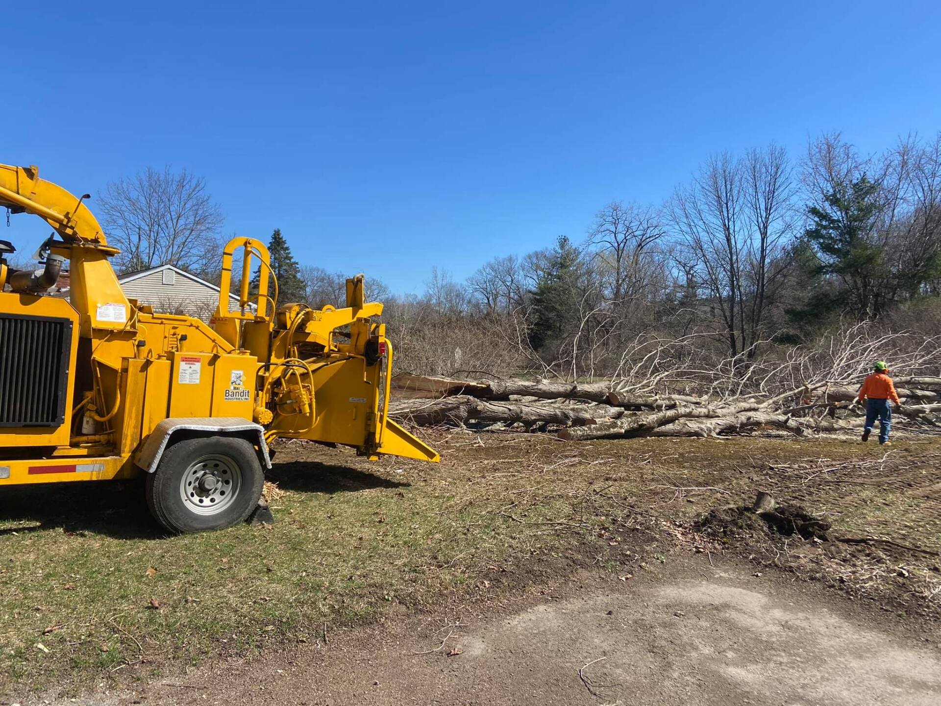 Chad's Tree Service | Tree Removal | New Milford, CT