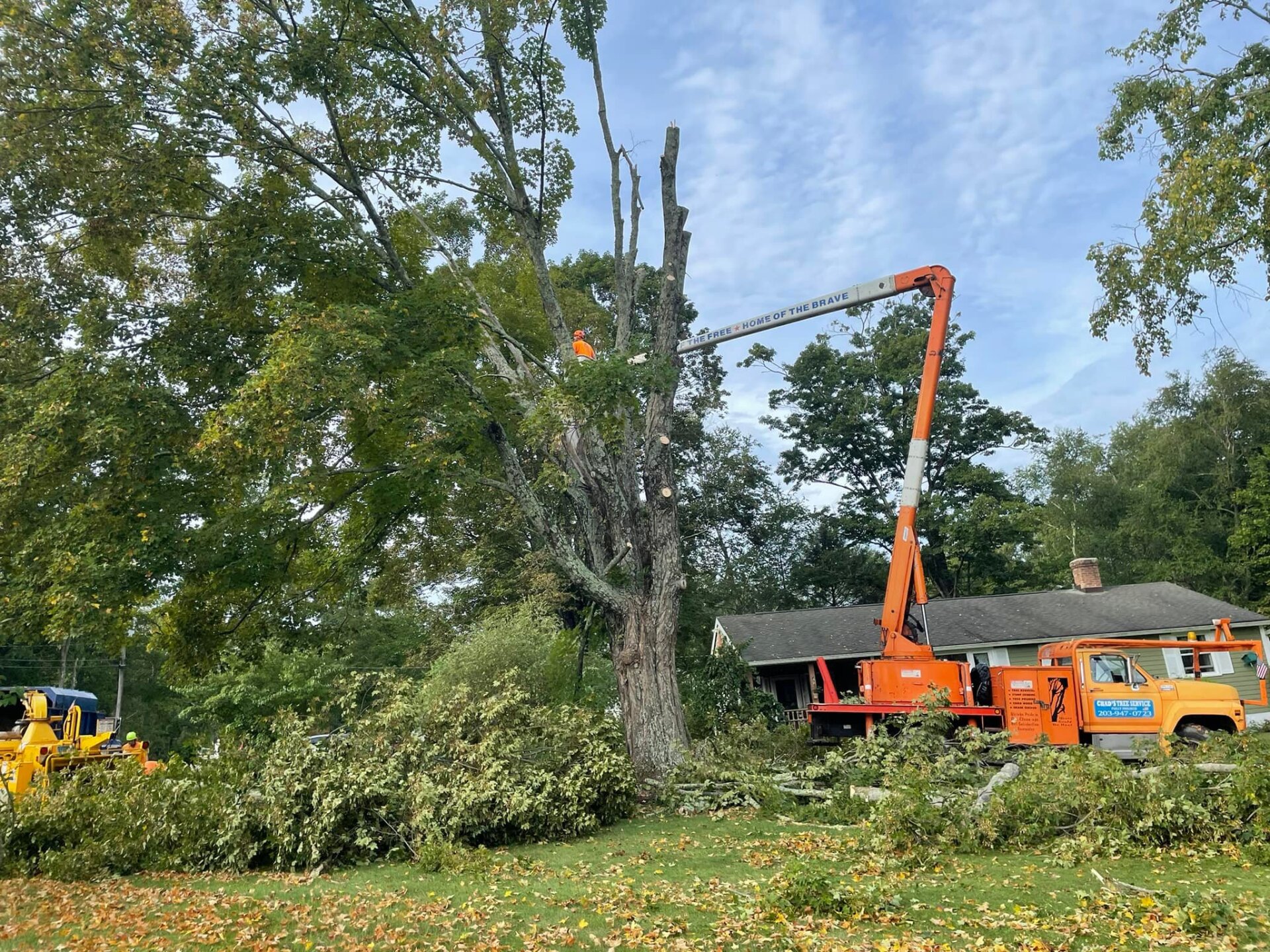 Chad's Tree Service | Tree Removal | New Milford, CT