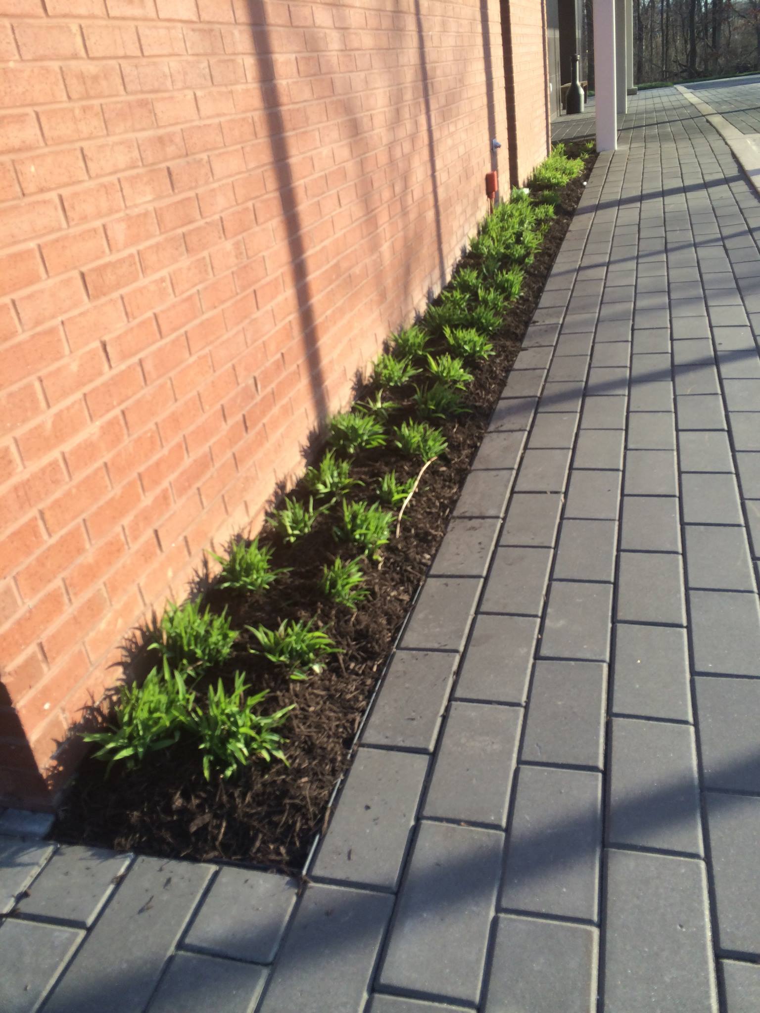 Final Cut Landscape & Tree Care Gallery | White Marsh, MD