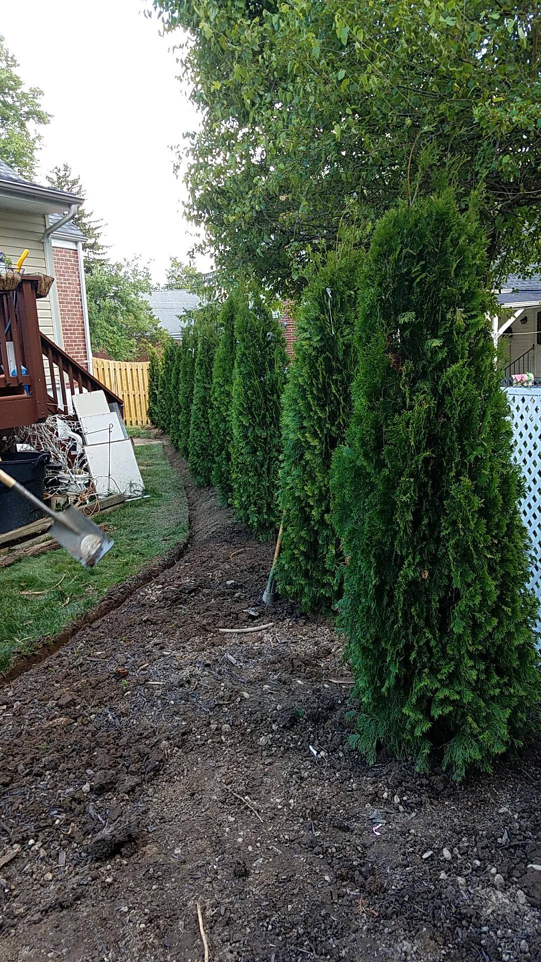 Final Cut Landscape & Tree Care Gallery | White Marsh, MD